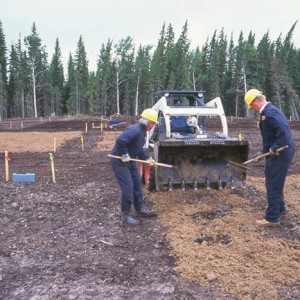 Pulp sludge is a "superfertilizer." Who would've thought?