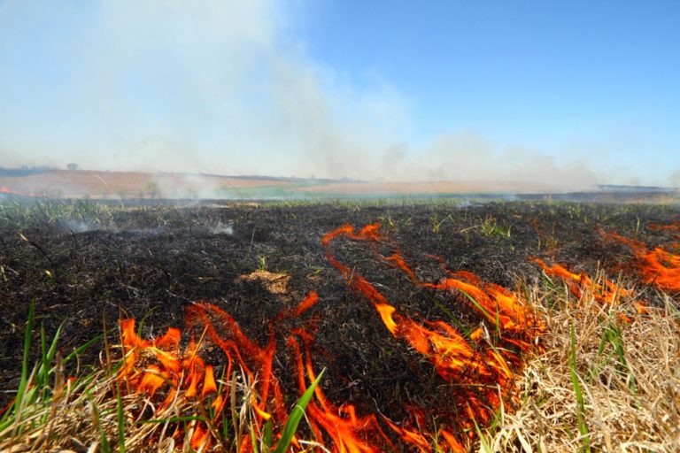 High fire risk means burning unharvested crops should be a ‘last resort ...