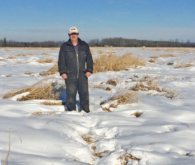 The Big Wreck: One million unharvested acres - Alberta Farmer Express