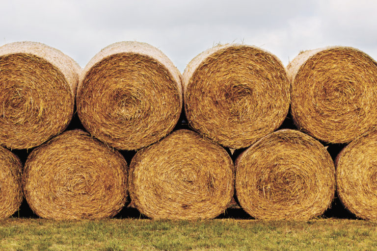 Stacking hay bales properly to reduce storage losses