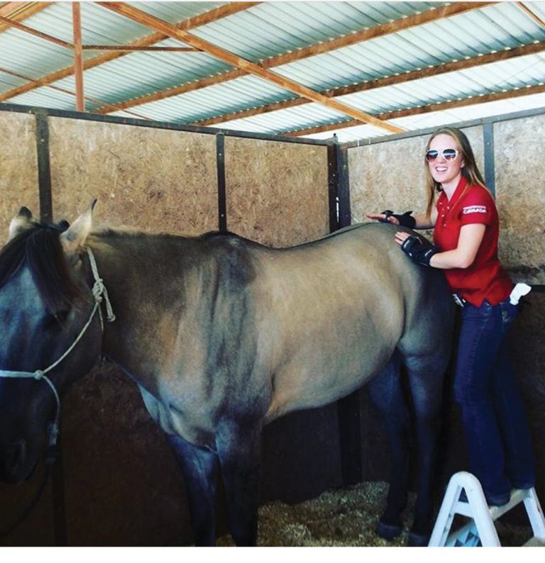 Unique physiotherapy clinic treats both horse and rider - Alberta ...