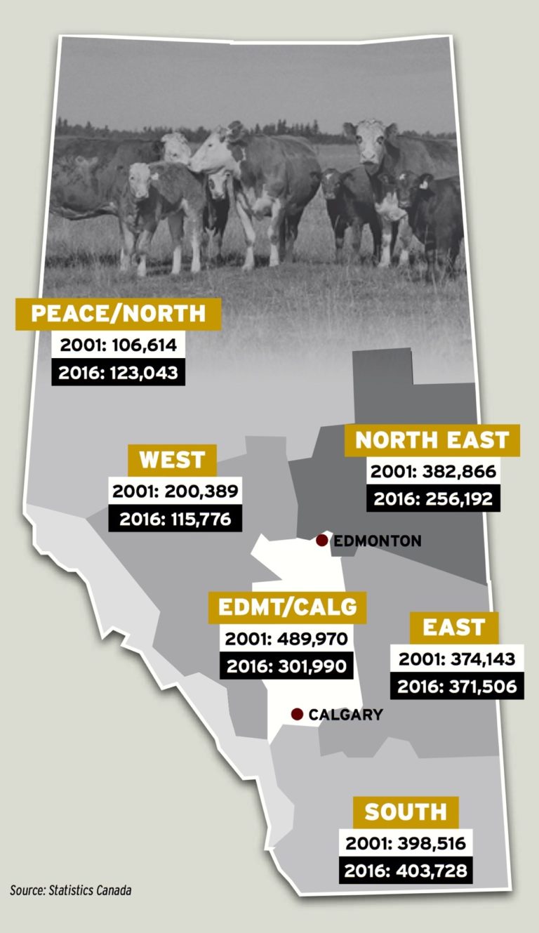 Verified Beef looks to remote audit system - Alberta Farmer Express