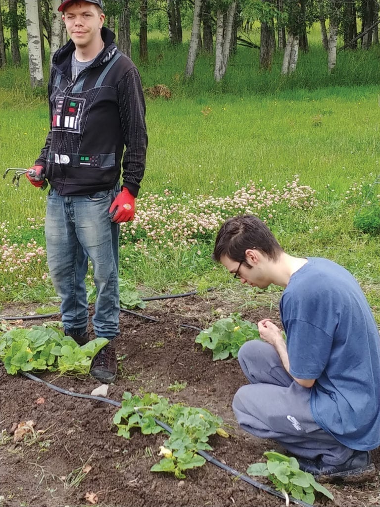 Farm provides a perfect working environment for adults with autism