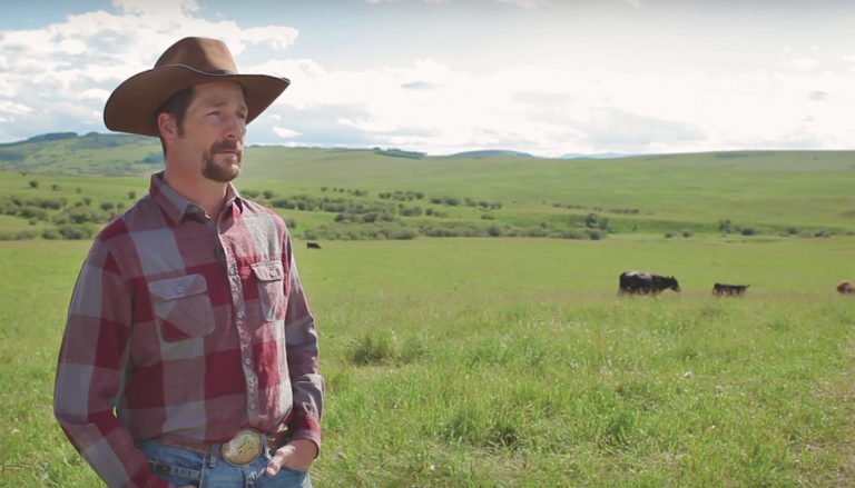 Factors to consider before constructing a dugout