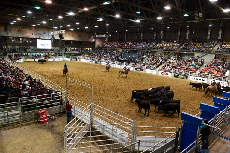 What’s new in 2019 at Farmfair International - Alberta Farmer Express