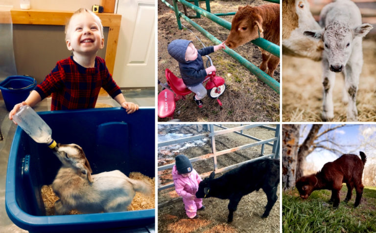 Spring brings special joy - Alberta Farmer Express