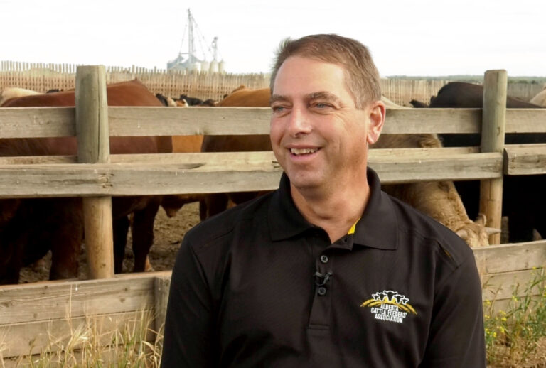 Disaster averted: Cattle set-aside does its job - Alberta Farmer Express