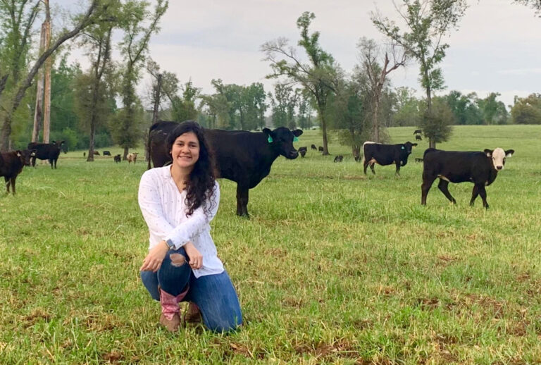 New beef research chair hired - Alberta Farmer Express