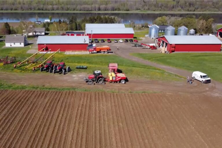 McCain Foods launches aggressive regenerative ag strategy - Alberta ...