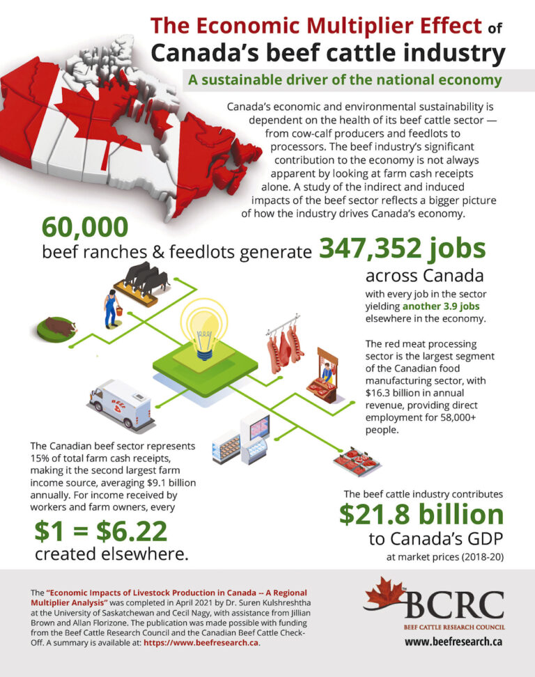 Beef sector launches pair of new consumer outreach efforts - Alberta ...