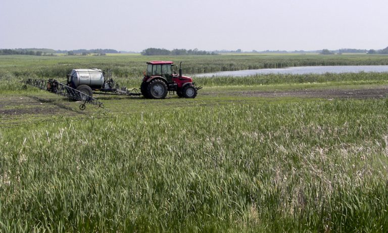 Restoring marginal lands can be a long-term money-maker - Alberta ...