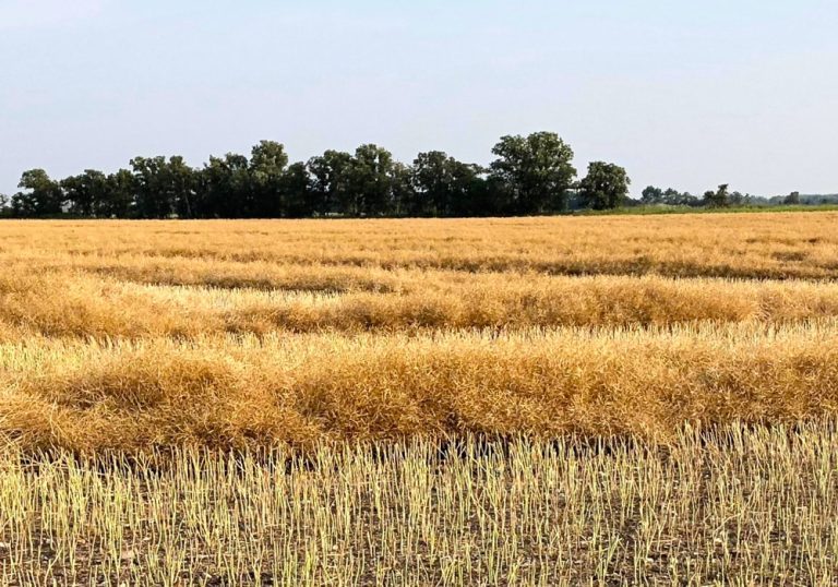 Agriculture News, Features, Videos - Alberta Farmer Express