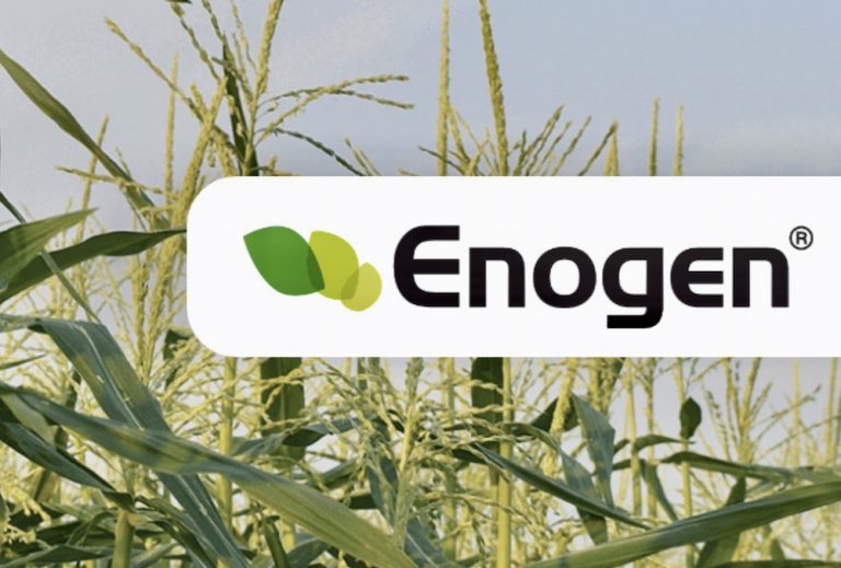 Syngenta’s transgenic corn touted for cattle feed efficiency - Alberta ...
