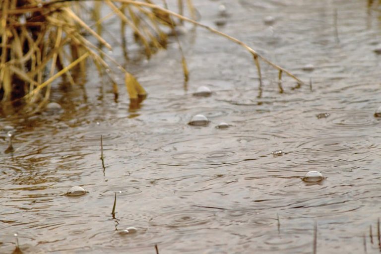 Soil moisture more critical than rainfall to estimate climate impact ...
