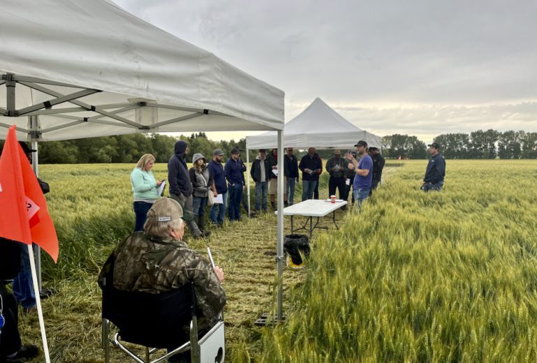 Trial examines plant growth regulators under real-life conditions ...