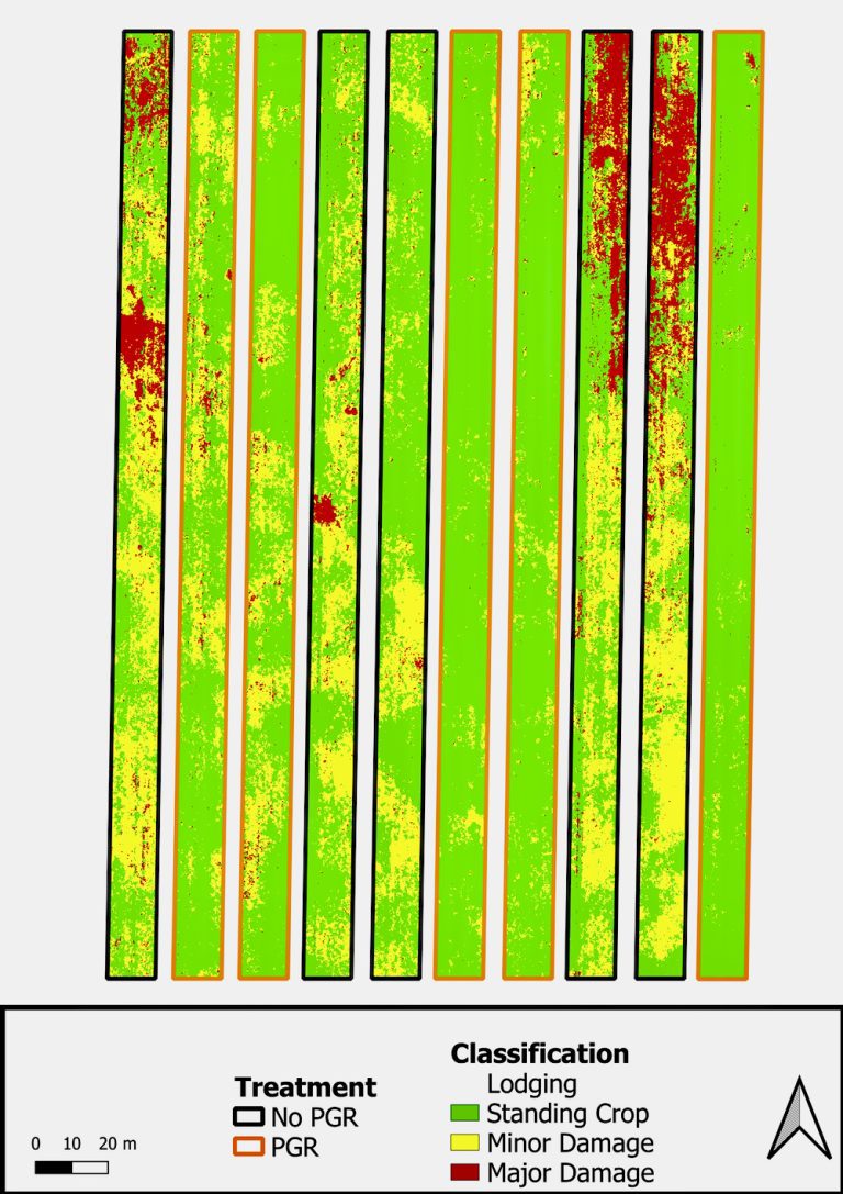 Trial examines plant growth regulators under real-life conditions ...