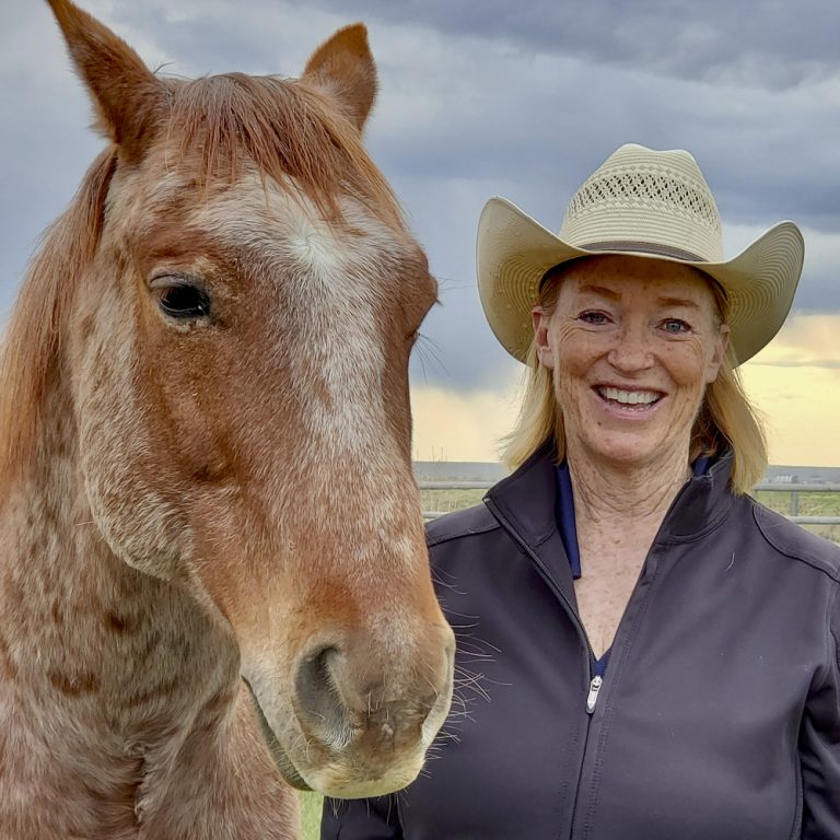 Goodbye and good riddance — 2022 was not kind to cattle feeders ...