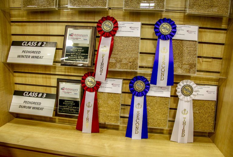 A seed show more than a century in the making - Alberta Farmer Express