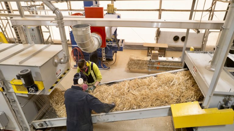 More hemp processing is now underway in Alberta - Alberta Farmer Express