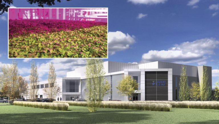 Indoor ‘mega-farm’ in Calgary getting even bigger - Alberta Farmer Express