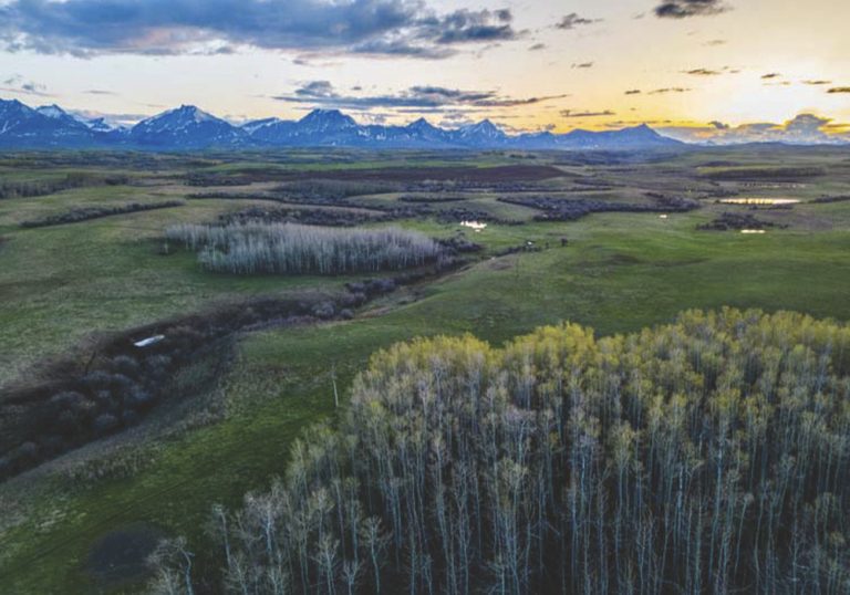 Alberta ranch to be largest Canadian conservation project ever ...
