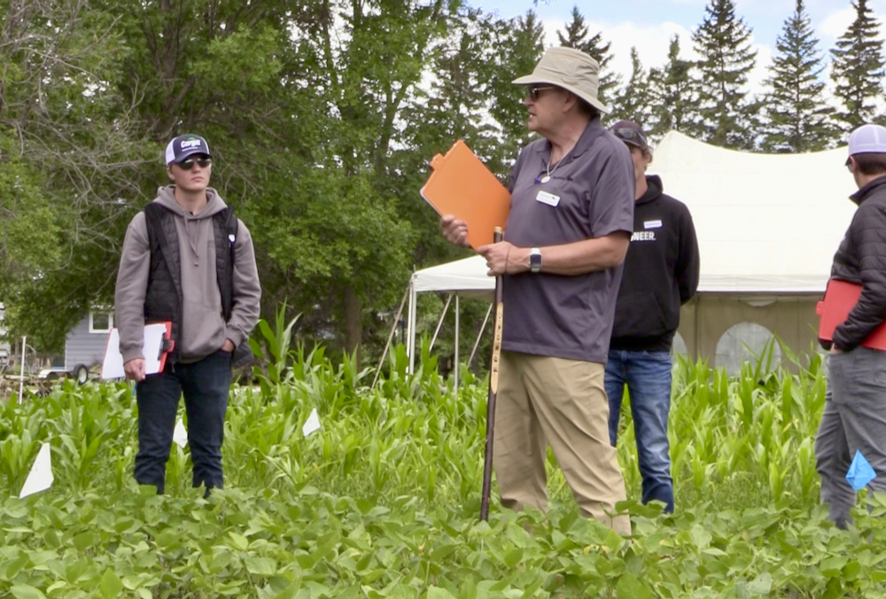 Keep a watchful eye for herbicide resistance - Alberta Farmer Express