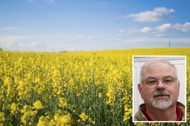 Latest Crops Stories - Alberta Farmer Express