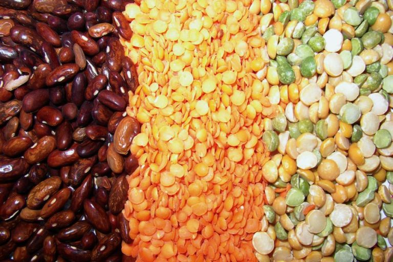 Pulse Weekly: Seeding of Manitoba pulses getting started - Alberta ... Pulse Weekly: Seeding of Manitoba pulses getting started - Alberta ...