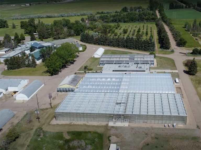 NewCold cold storage facility a game changer for southern Alberta ...