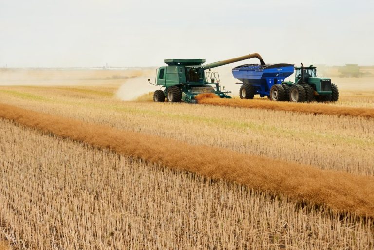 Alberta Crop Report: Harvest begins in the province - Alberta Farmer ...