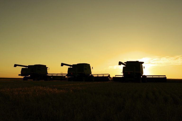 Alberta Crop Report: Harvest begins in the province - Alberta Farmer ...