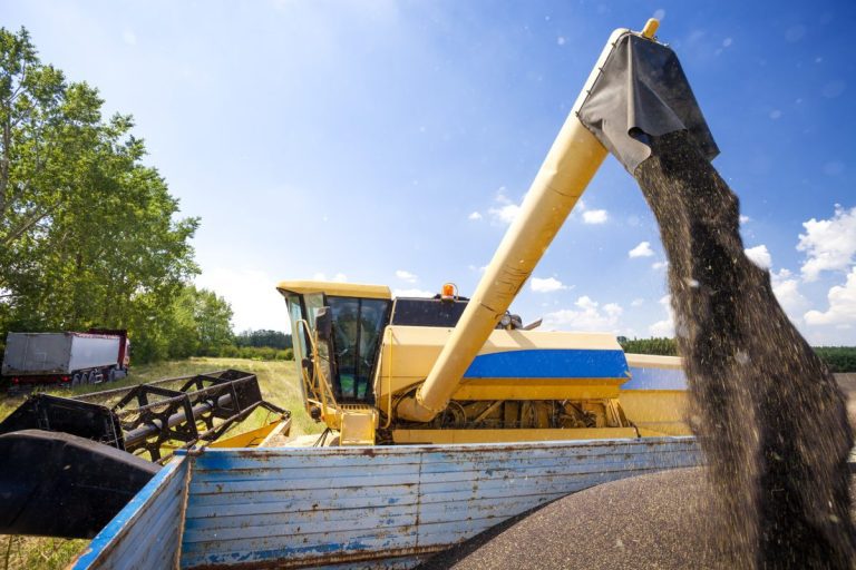 Alberta Crop Report: Harvest begins in the province - Alberta Farmer ...