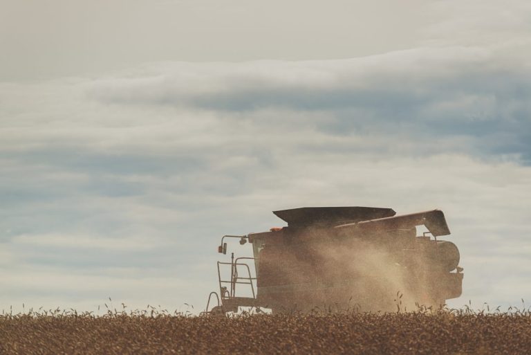 Alberta Crop Report: Higher-than-average yields expected - Alberta ...